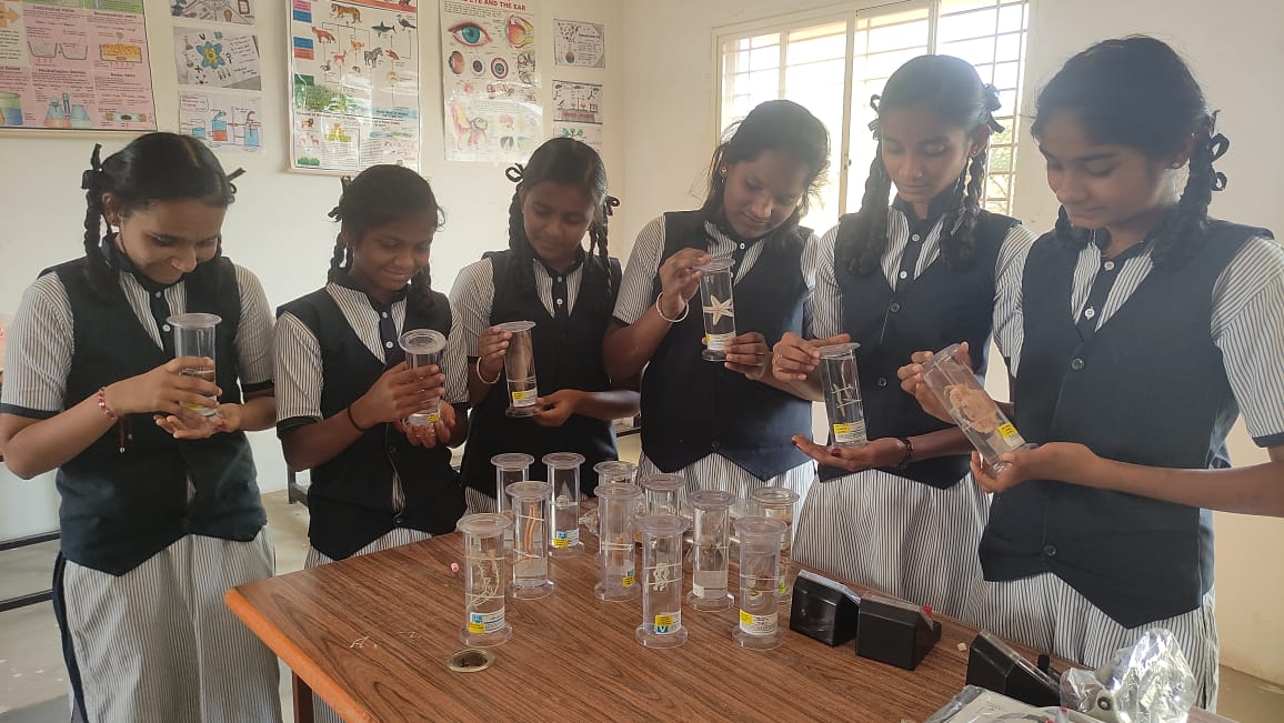 Sri Sharadha Higher Primary and High School